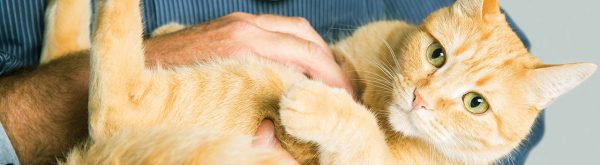 Our Companies - PBI-Gordon Companies