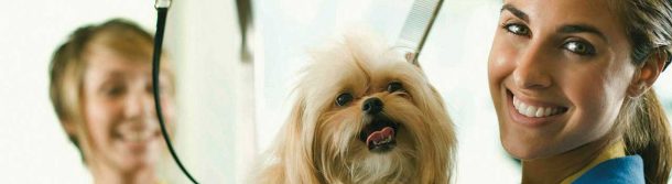 Our Companies - PBI-Gordon Companies